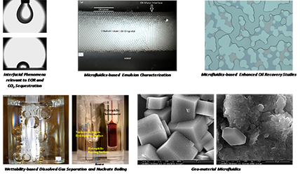 Dr. Prem Bikkina | OK EPSCoR